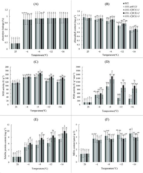 Physiological Indices Of Transgenic Empty Vector And Wild Type Poplar
