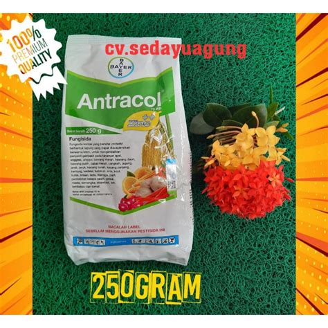 Jual FUNGISIDA ANTRACOL 70 WP ZINC KEMASAN PABRIK 250 GRAM Free