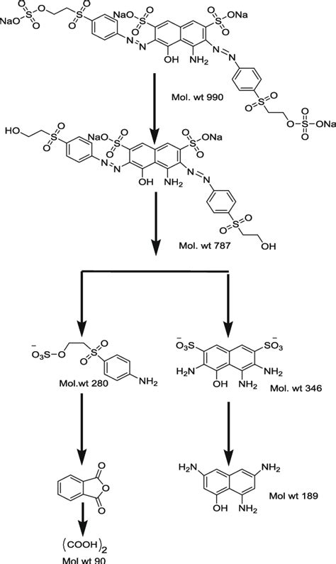 Proposed Biodegradation Pathway Of Reactive Black 5 By Photo Catalytic