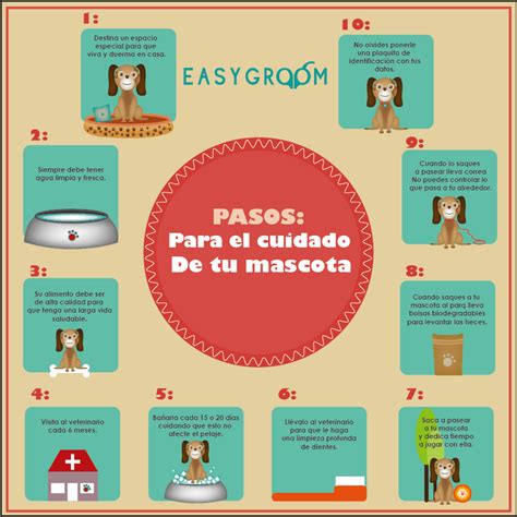 Pasos Para El Cuidado De Tu Mascota Consejos Para Mascotas Mascotas