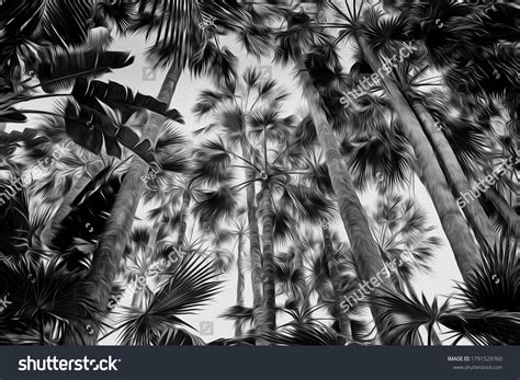 열대 정글 배경 녹색 야자잎 고해상도 스톡 일러스트 1791529760 Shutterstock