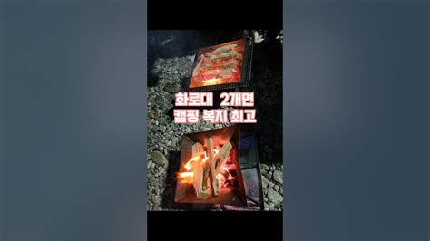 캠핑 먹방 숯불 삼겹살 코베아토치 캠핑 캠핑요리 화로대 숯불고기 Youtube