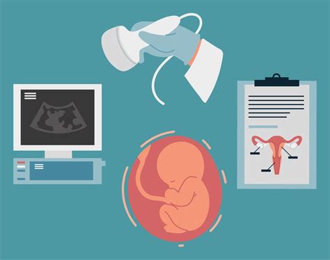 Reproductive Health Vector Art Icons And Graphics For Free Download