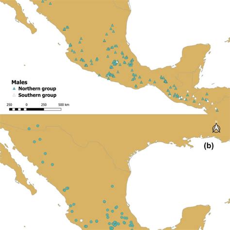 Cluster Analysis Optimal Number Of Groups Of Morphological Variation