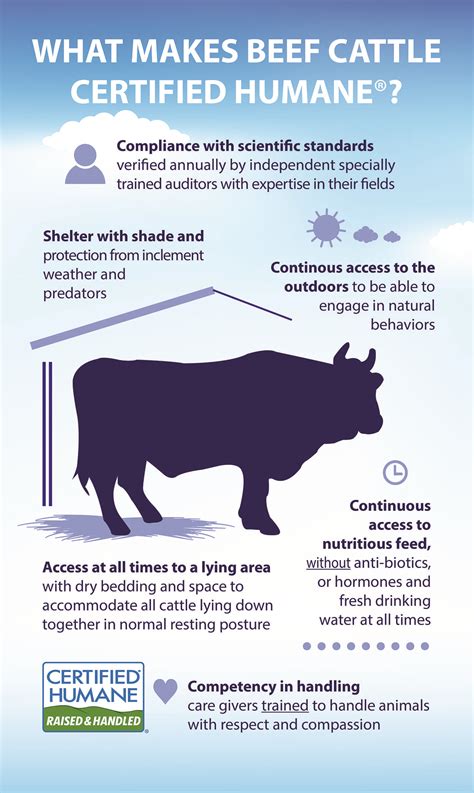Why Certified Humane® Certification Is Important To Our Ranchers And Our Consumer American