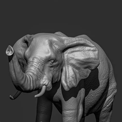 Stl File Elephant 🐘 Obj・3d Printer Design To Download・cults