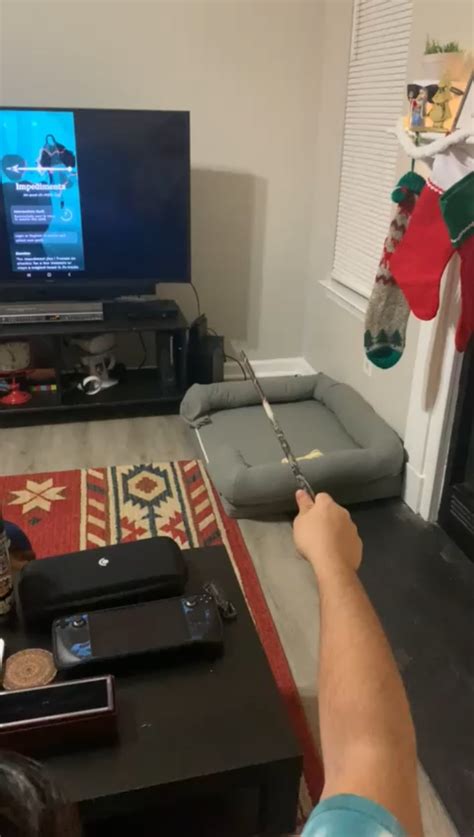 Got The Magic Caster Wand Today Rharrypotter