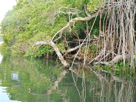 Tecolutla un pequeño destino en donde te divertirás a lo grande