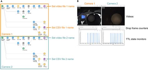 Figure 1 From Protocol For Precise Signal Synchronization Of Electrophysiology Videography And