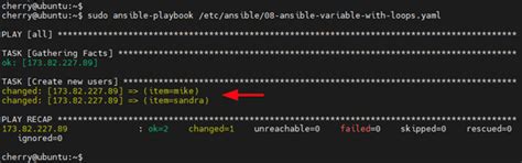 How To Use Variables In Ansible Playbooks Cherry Servers