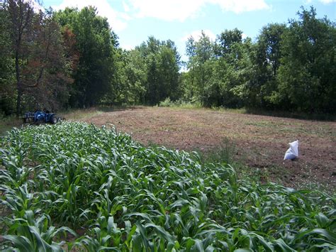 Improving Food Plot Layout