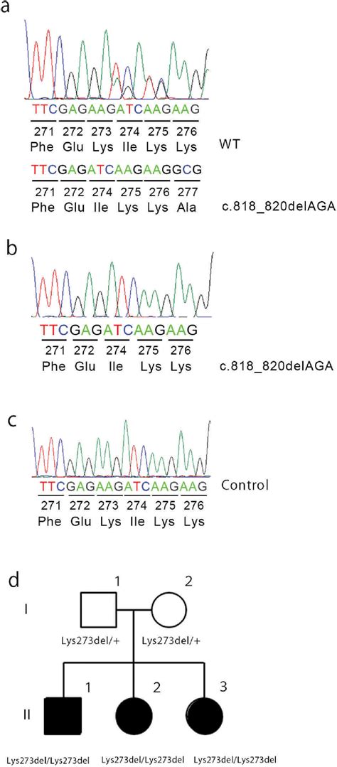Molecular Genetic Findings And A Pedigree Chart With Segregation