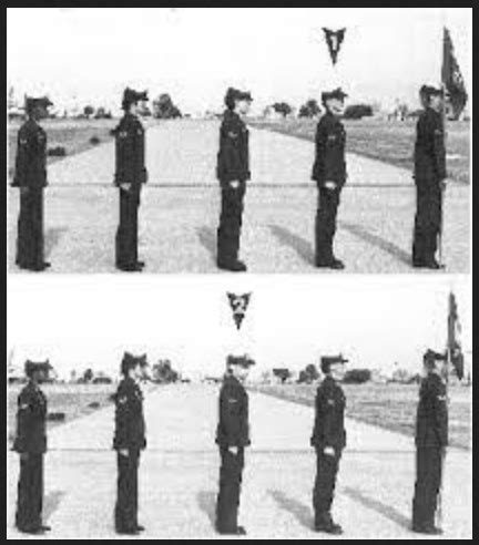 oeasy python 词根溯源 count 计数 counter encounter country 知乎