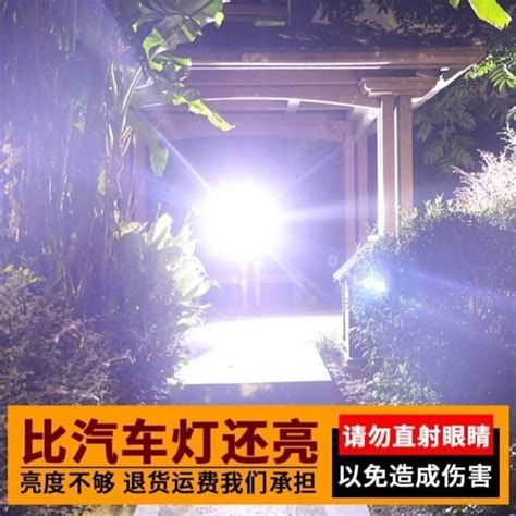 戴灯 第10页 大山谷图库