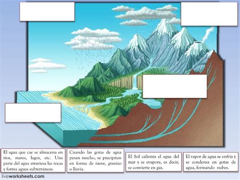 El Agua Ficha Interactiva Y Descargable Puedes Hacer Los Ejercicios