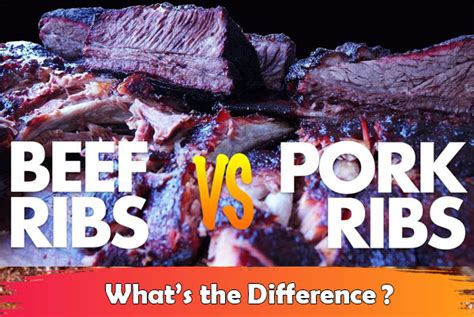 Beef Ribs Vs Pork Ribs Explain The Differences And Recipes Of Each 1