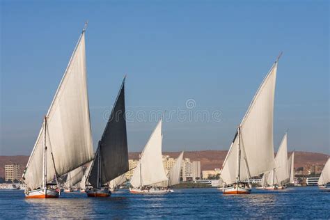 Шлюпки Felucca плавая Нил в Египте Африка Стоковое Фото изображение