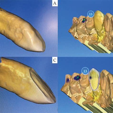 Representing Shape And Scale Values Following The Weibull Modulus