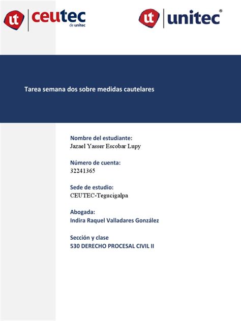 Medidas Cautelares En Procesos Civiles Pdf Derecho