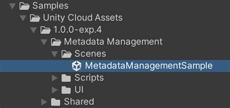 Sample Manage Metadata Field Definitions Unity Cloud Assets 120