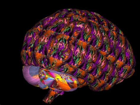 the fractal nature of the brain eeg data suggests