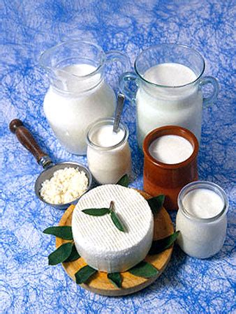 ТАБЛИЦА КАЛОРИЙНОСТИ МОЛОЧНЫХ ПРОДУКТОВ – Московский областной центр ...