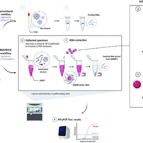 Silica Coated Magnetic Nanoparticles Can Isolate Rna Directly From Agpc