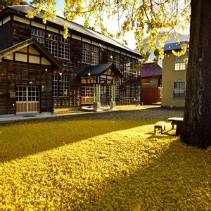 各地域の観光サイト にいがたあいづ ごっつぉLIFE