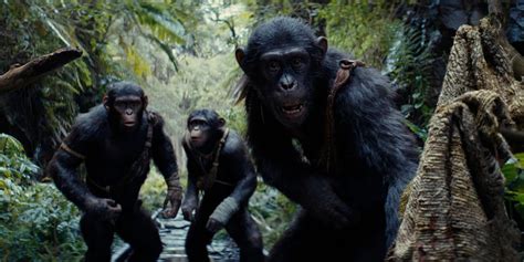 Is Caesars Son In Kingdom Of The Planet Of The Apes