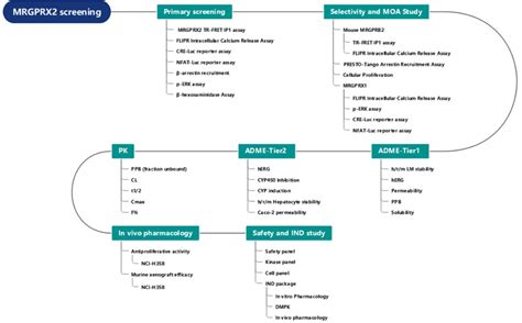 Gpcr Assaysservicesgpcr Assaysgpcr Targeted Assay Service Gpcrs