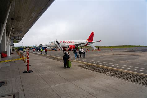 나리뇨 공항 탑승 구역에 있는 아비앙카 항공사 비행기 콜롬비아 Airbus에 대한 스톡 사진 및 기타 이미지 Airbus