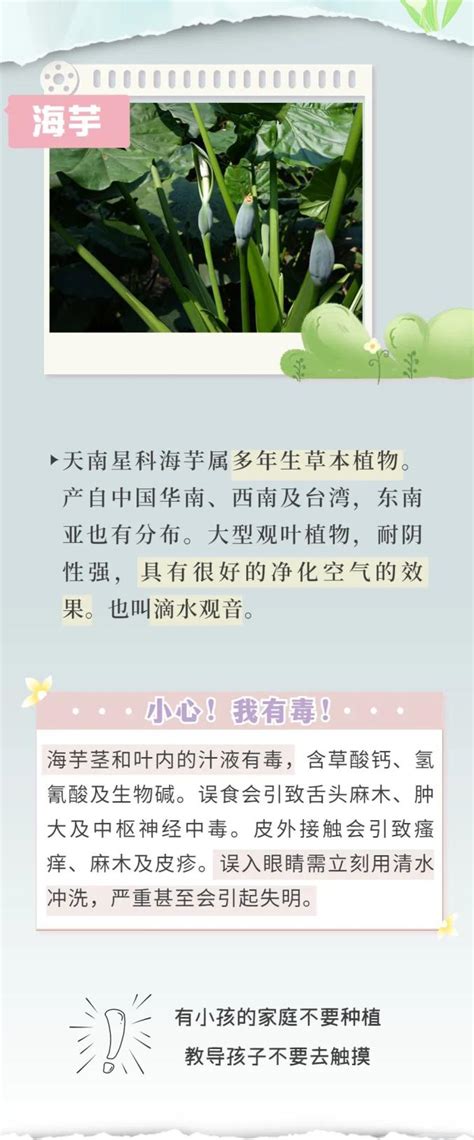 知名女演员最新大片引争议，网友惊呼：这花有毒！澎湃号·政务澎湃新闻 The Paper