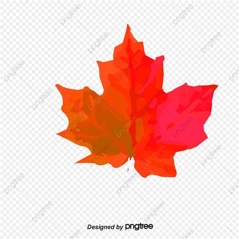 빨간 단풍 일러스트 캐나다 잎사귀 메이플 리프 클립 아트 붉은 잎 단풍잎 Png 일러스트 및 Psd 이미지 무료 다운로드