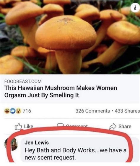 2531 Best Lightened Images On Pholder Interestingasfuck Nature Is