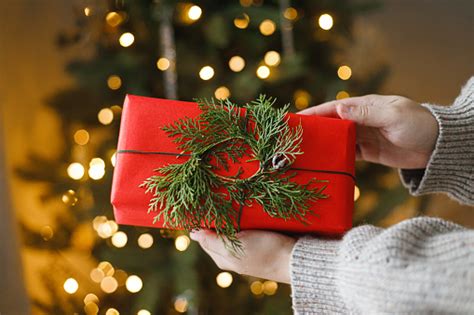 즐거운 성탄절 보내시고 즐거운 연말연시 보내세요 황금빛 크리스마스 트리 조명에 맞서 삼나무 화환과 함께 세련된 크리스마스 빨간 선물을 들고 아늑한 스웨터를 입은 손 분위기