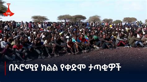 በኦሮሚያ ክልል ለቀድሞ ታጣቂዎች የተሃድሶ ስልጠና መሰጠት ጀመረ Etv Ethiopia News Zena