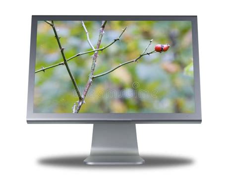 Lcd Monitor Flat Screen Stock Image Image Of Thin Glass 7291833