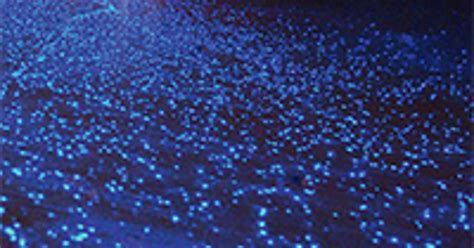Biophysical Characterization Of Membrane Protein Small Molecule