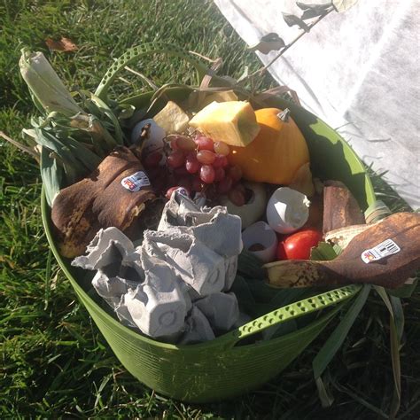 Compost Ingredients 2014 The Wealthy Earth