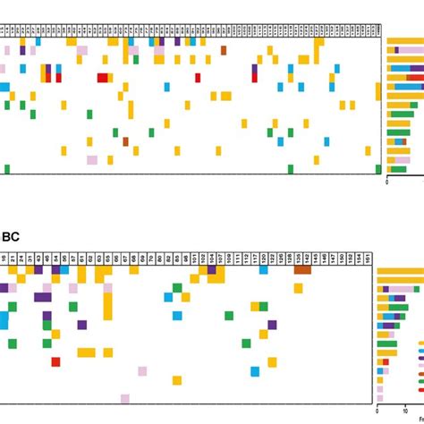 Distribution Of Genetic Alteration According To Primary Tumor Location