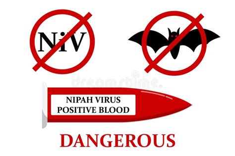 Virus Nipah Stock Illustrations 205 Virus Nipah Stock Illustrations