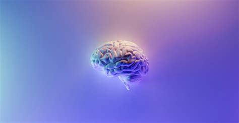 Brain Function How The Brain Controls The Body And Mind