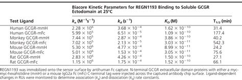 Table 1 From Glucagon Receptor Blockade With A Human Antibody