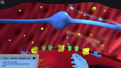 Smooth Muscle Learn How Your Gut Contracts Virtual Lab