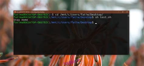 Comment Exécuter Un Script Shell Sur Windows 10 Toptipsfr
