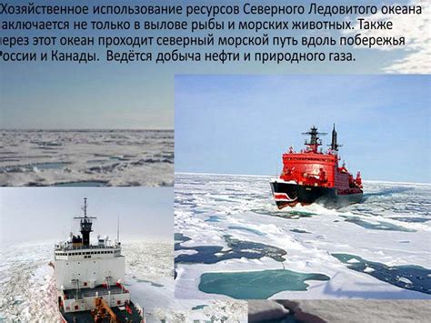Сев Лед океан 7 кл 22 23 Online Presentation