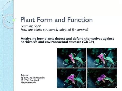 PPT Plant Form And Function PowerPoint Presentation Free Download