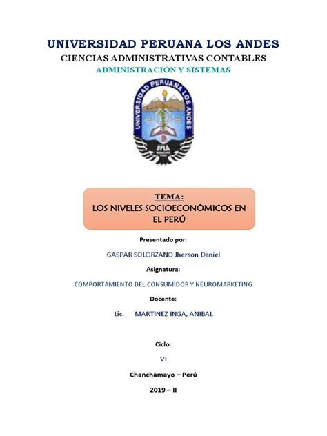 Niveles Socioeconomicos En El Peru Pdf Estatus Social Consumo