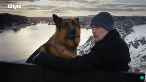 Hudson And Rex Season 5 Episode 2 Release Date Recap And Streaming