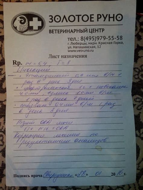 Ветеринарные рецептурные бланки | Т-Хелпер | Дзен